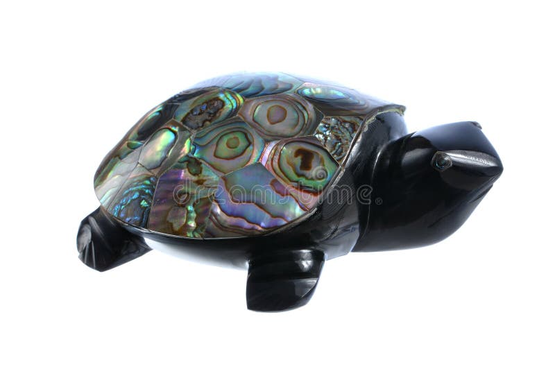 Abalone shell turtle stock image. Image of isolated, souvenir - 27995753