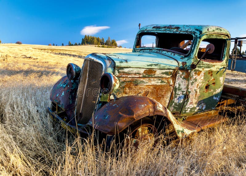 Lifeless Rusty Trees Truck