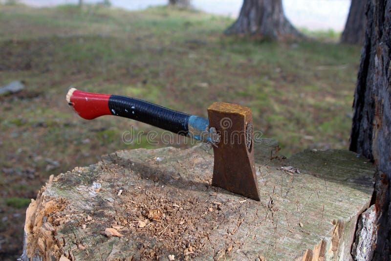 Axe On Tree Trunk Picture. Image: 82949924