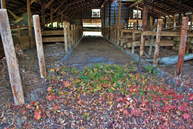 Abandoned barn stock image. Image of broken, dark, barn - 102411679