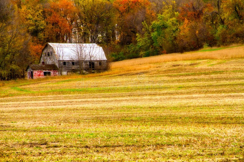 Abandoned Barn in the Fall stock image. Image of vintage - 50153459
