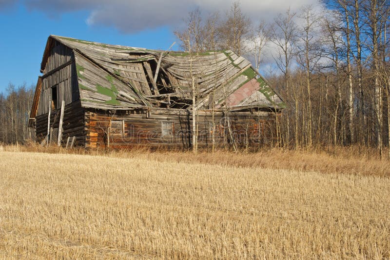 Abandoned Rd Barn in Wheat Field Stock Image - Image of wheat, farm ...