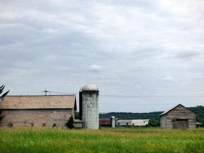 Abandoned Barn stock photo. Image of summer, north, farmland - 59739450