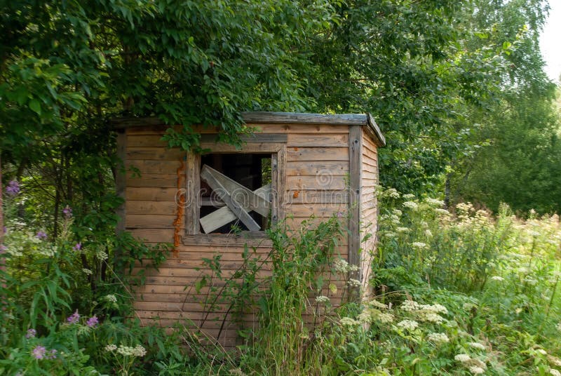 Abandoned Barn Under a Tree Stock Image - Image of cabin, agriculture ...