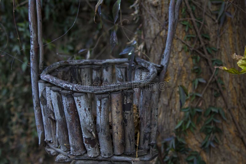Abandoned Basket Hanging from Tree Stock Image - Image of basket, alone: 57009935