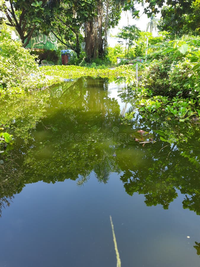 An Abandoned Bathing Pool in an Abandoned Playground Stock Image ...