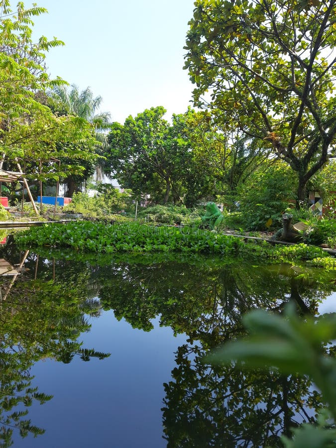 An Abandoned Bathing Pool in an Abandoned Playground Stock Photo ...