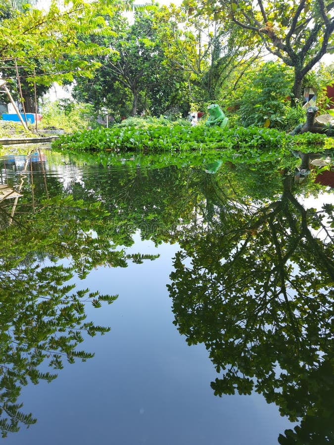 An Abandoned Bathing Pool in an Abandoned Playground Stock Photo ...