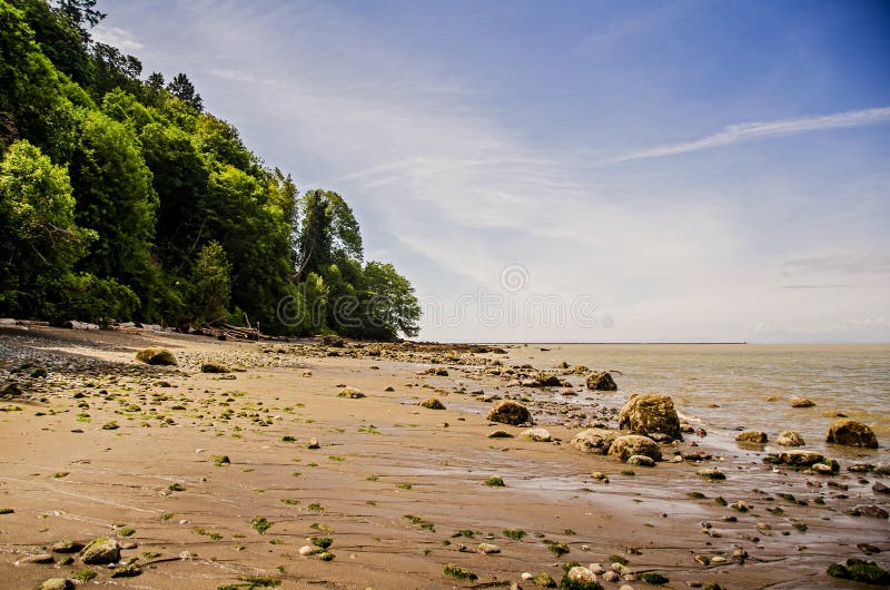 Abandoned Beach with Rocks and Trees Near Vancouver Stock Photo - Image ...