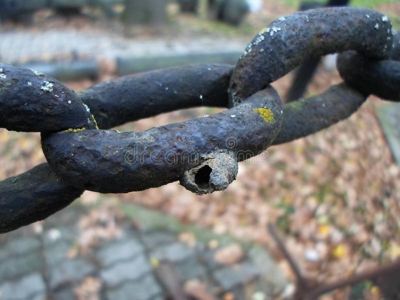 Abandoned Bee Nest on a Rusty Chain Stock Photo - Image of surface ...