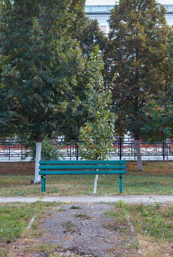An Abandoned Bench in an Old Park, an Overgrown Path Stock Photo ...
