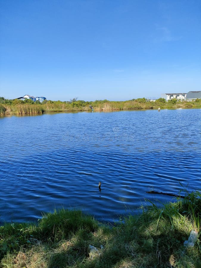 Abandoned big puddle stock image. Image of water, pond - 227374175