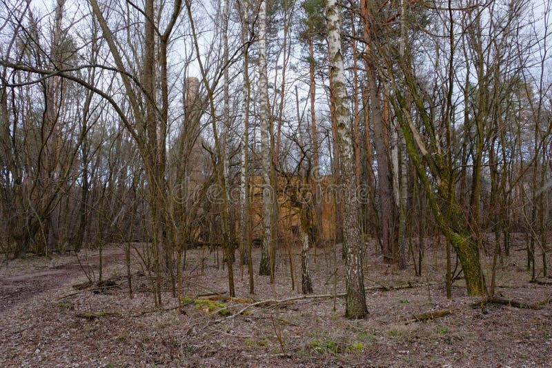 Abandoned Brick Buildings among Trees in the Chernobyl Radiation ...