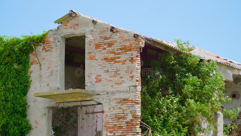 Destroyed Brick House with Trees Inside Stock Video - Video of natural ...