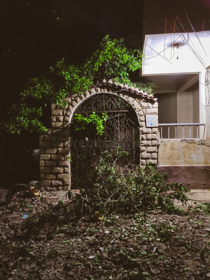 Abandoned Building Covered in Green Stock Image - Image of covered ...
