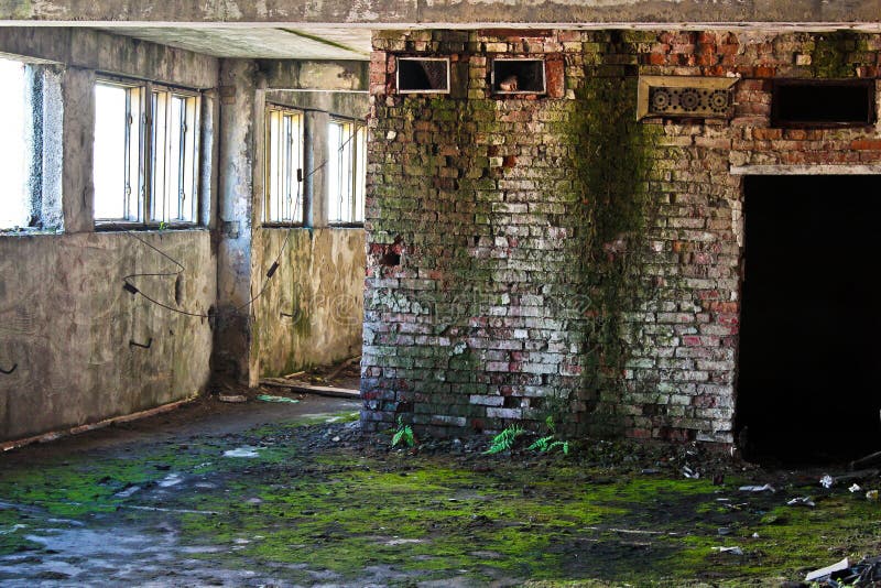 Abandoned building stock photo. Image of desolate, factory - 39524868