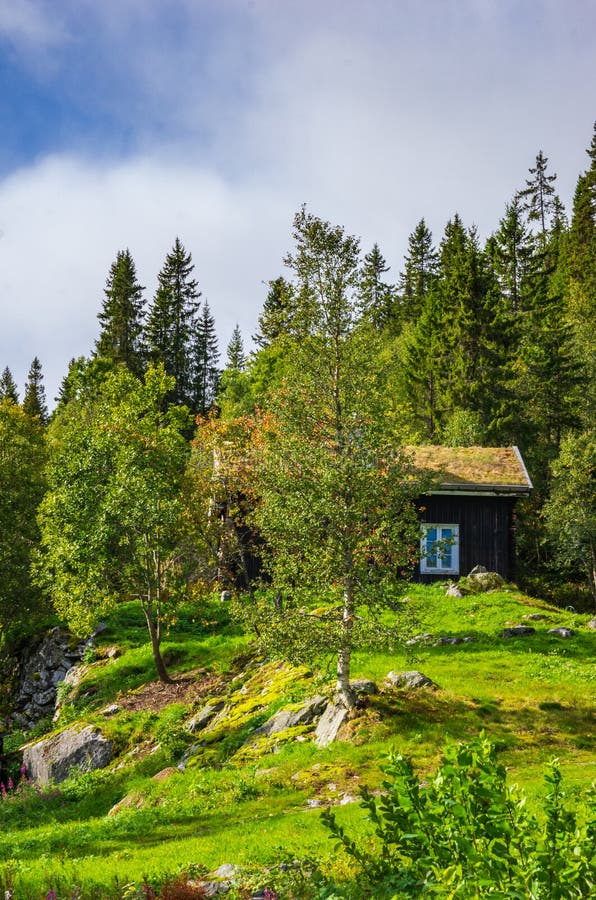 Abandoned Cabin among the Forest Stock Image - Image of country ...