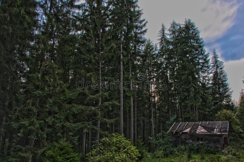 Abandoned cabin . stock photo. Image of scene, landscape - 100666434