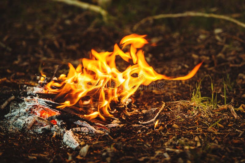 Abandoned Old Campfire Site on Shore of a Large Lake Stock Photo ...
