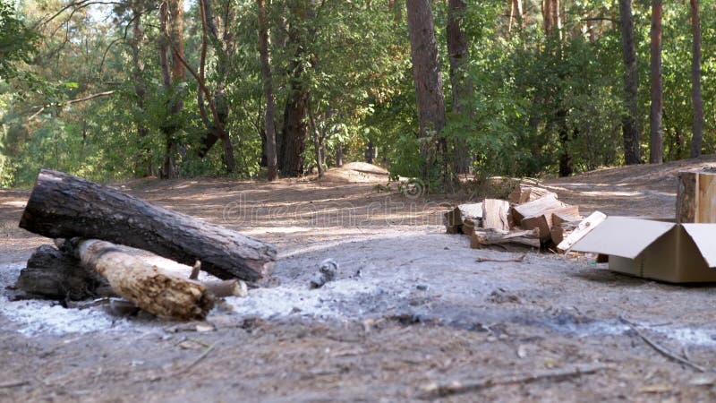 Campfire Remains in Forest stock video. Video of peaceful - 345833031
