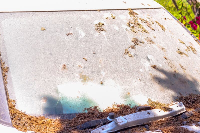 Abandoned Car Covered in Dust Stock Image - Image of vehicle, unwanted ...