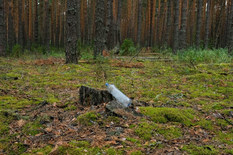 An Abandoned Disposable Plastic Bottle Near the Stump. Plastic Garbage ...