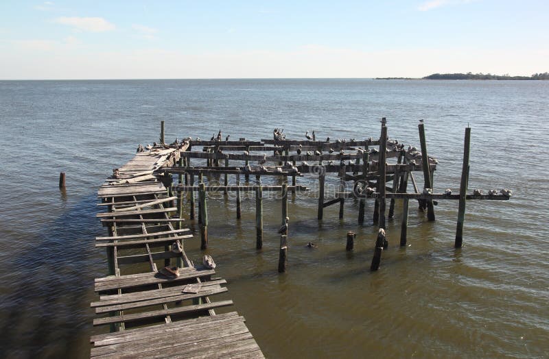 Abandoned Dock in Cedar Key, Florida Stock Photo - Image of water ...