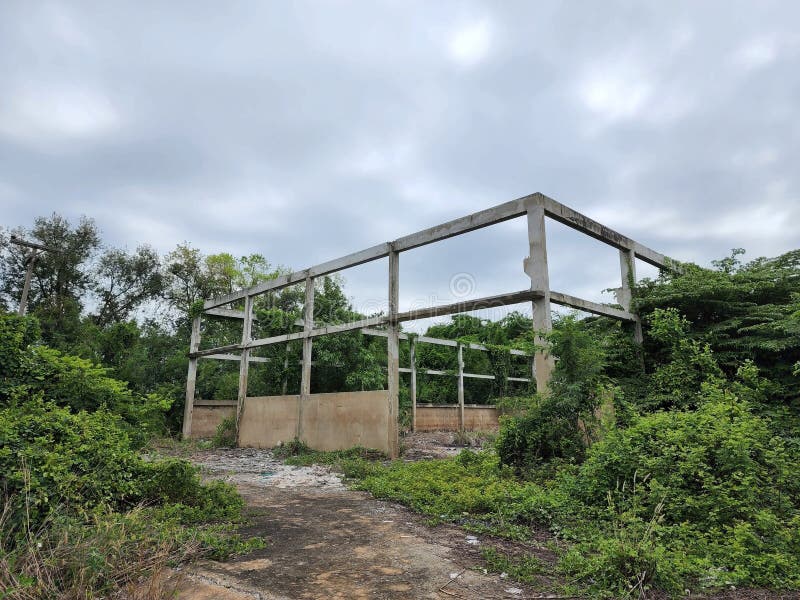 Abandoned Factory in the Forest Stock Photo - Image of environment ...