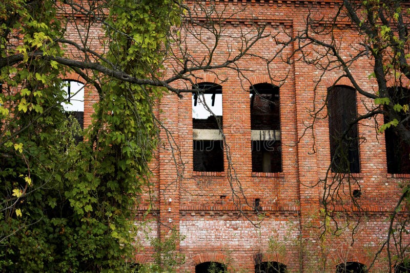 Abandoned factory stock photo. Image of dark, overgrown - 78491954