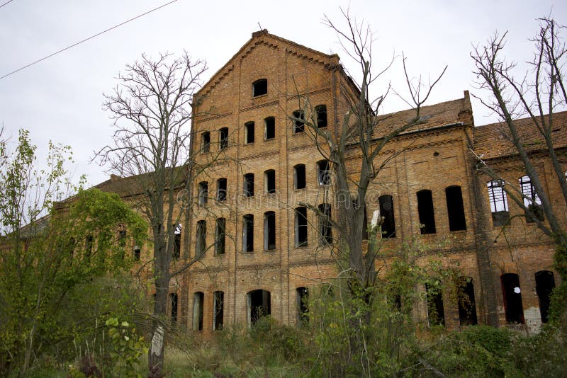 Abandoned factory stock image. Image of overgrown, exterior - 78491953