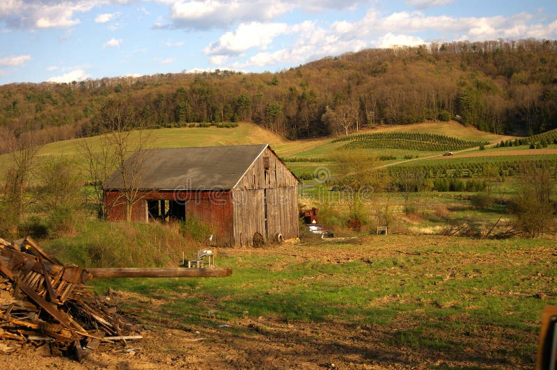 Abandoned Farm stock image. Image of food, fall, pigsty - 2343067
