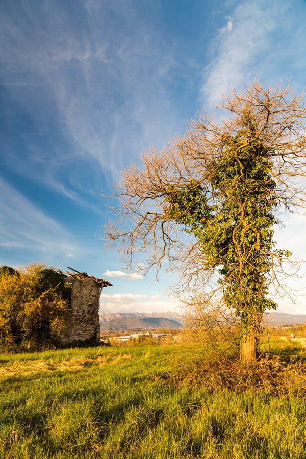 Abandoned Farm in the Countryside Stock Image - Image of forest, farm ...