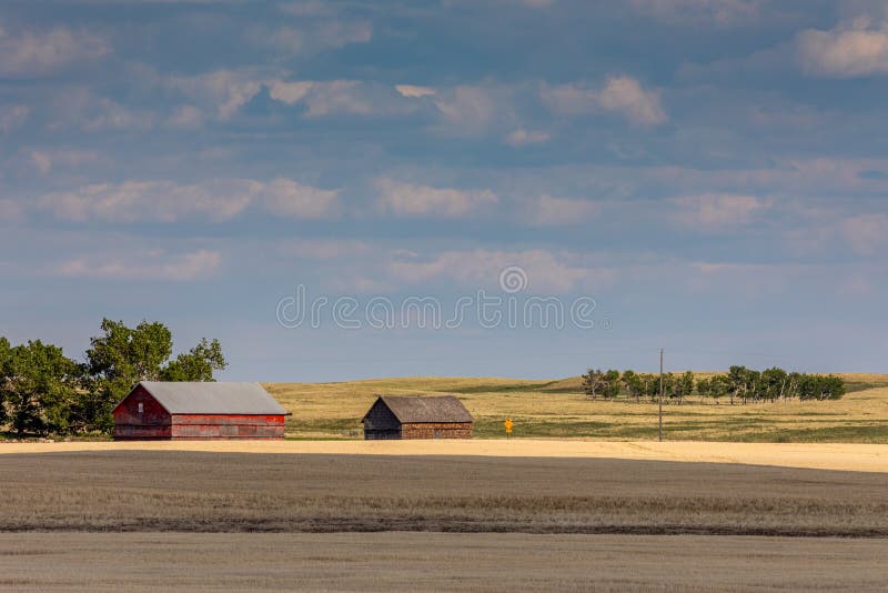 Farm on prairie stock photo. Image of alberta, nice, grass - 5663664