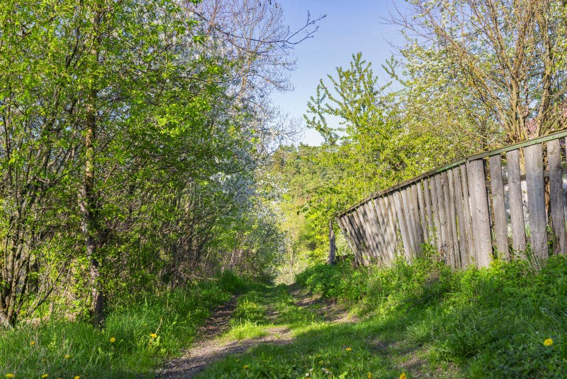 Abandoned Farmstead in Village Stock Photo - Image of village, spring ...