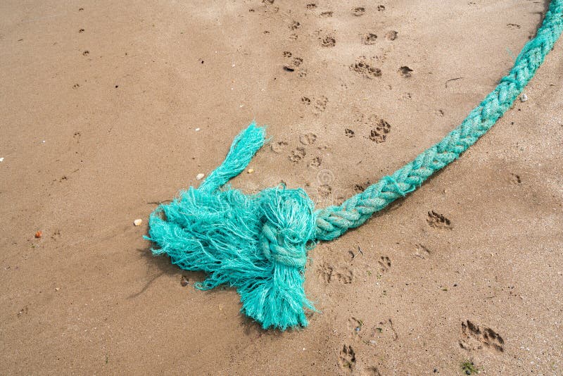 Abandoned Fishing Rope on the Shore Stock Image - Image of shore ...