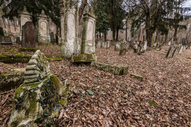 Abandoned forest cemetery stock photo. Image of easter - 104858304