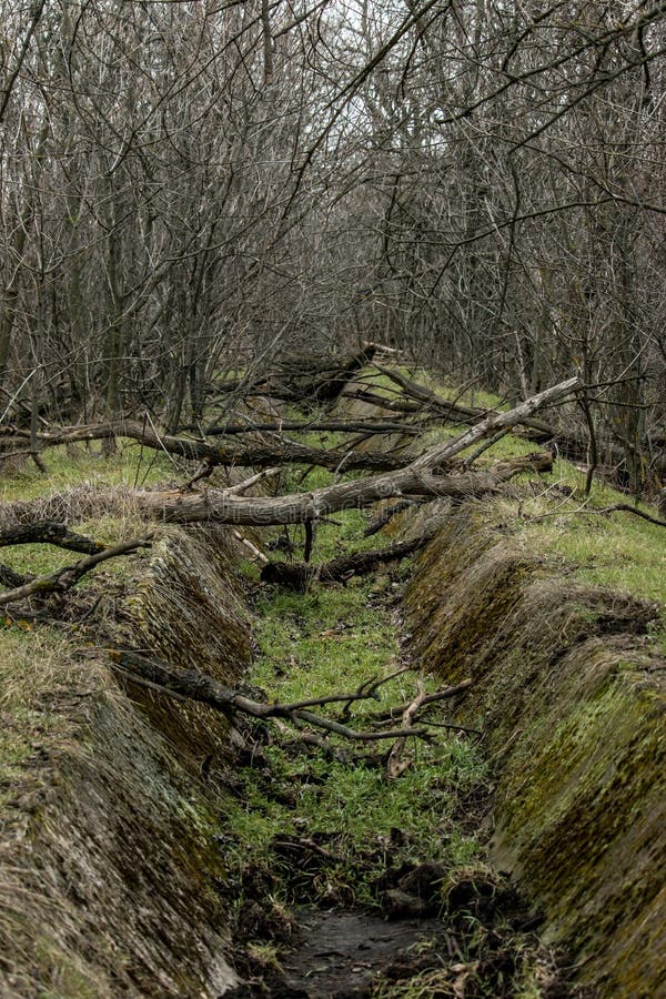 Trench stock image. Image of ditch, abandoned, tranquil - 124289765