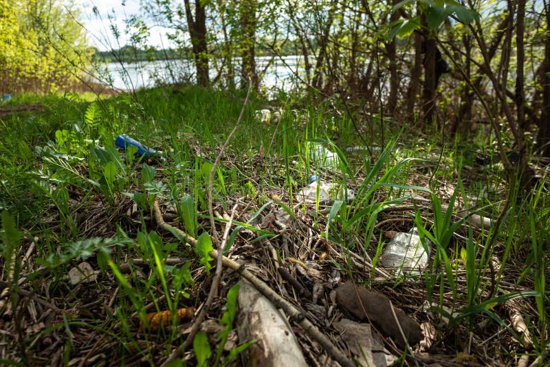 Abandoned Garbage Plastic and Glass Waste in Nature among the Grass ...