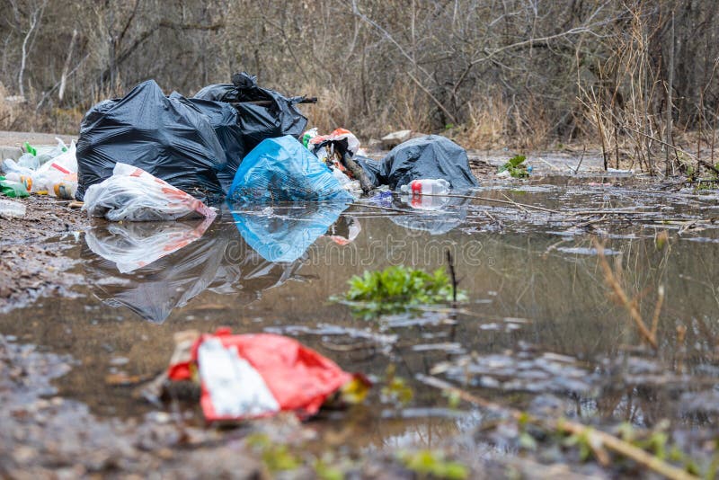 Abandoned Garbage Plastic and Glass Waste in Nature among the Grass ...