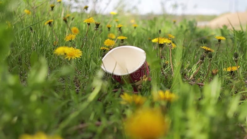 Abandoned Garbage Plastic and Glass Waste in Nature among the Grass ...