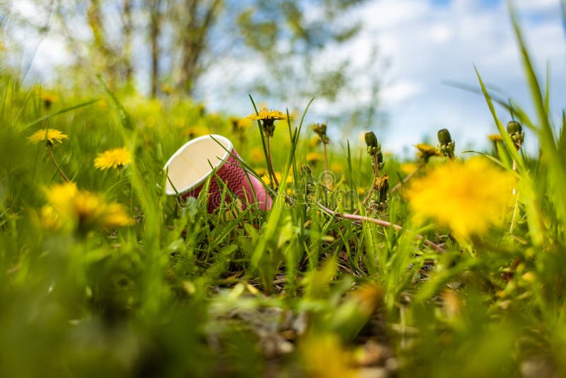 Abandoned Garbage Plastic and Glass Waste in Nature among the Grass ...