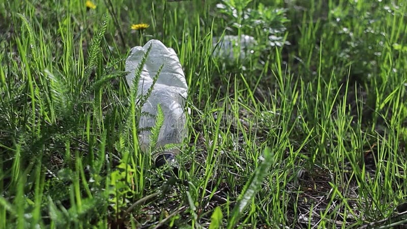 Abandoned Garbage Plastic and Glass Waste in Nature among the Grass ...