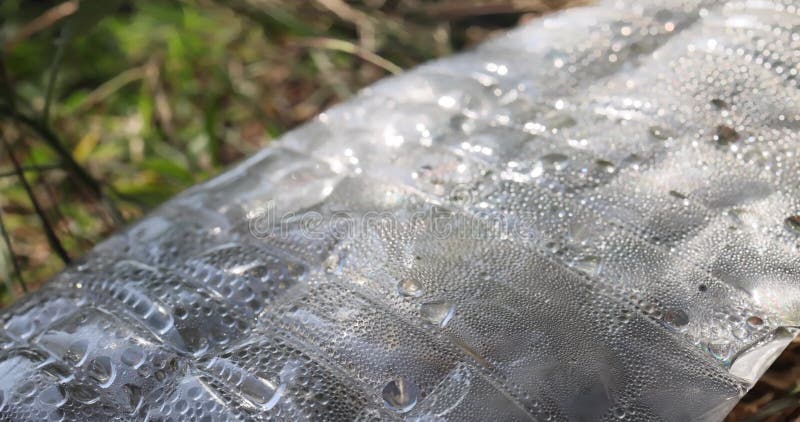 Abandoned Garbage Plastic and Glass Waste in Nature among the Grass ...