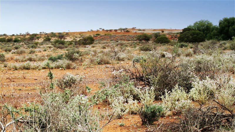 Abandoned Gold Mine in the Australian Outback Stock Video - Video of ...