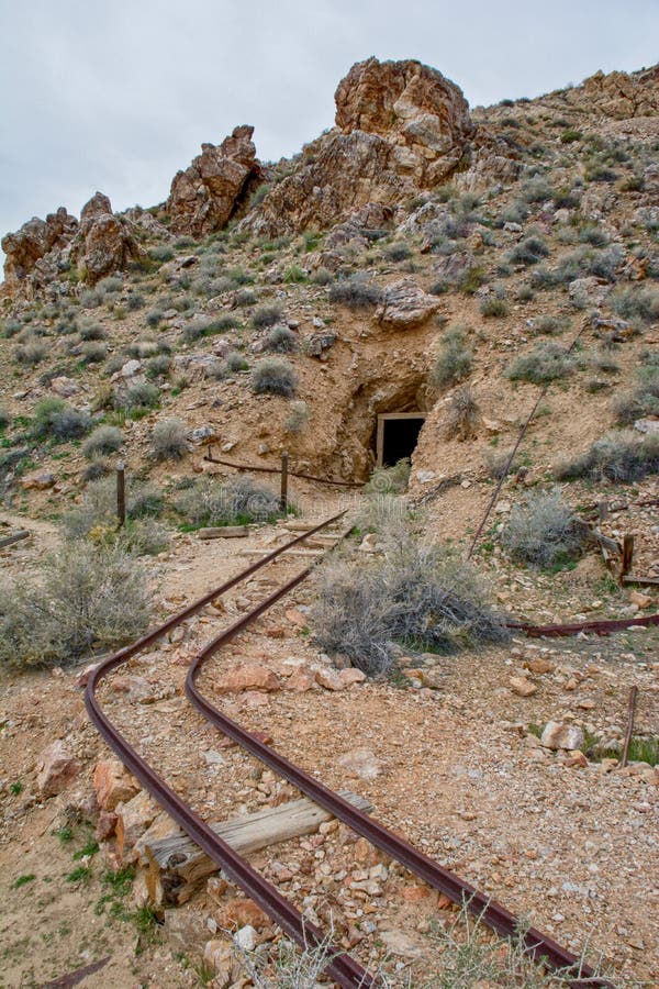 Mojave Desert Regenerating Post Drought Stock Image - Image of belle ...