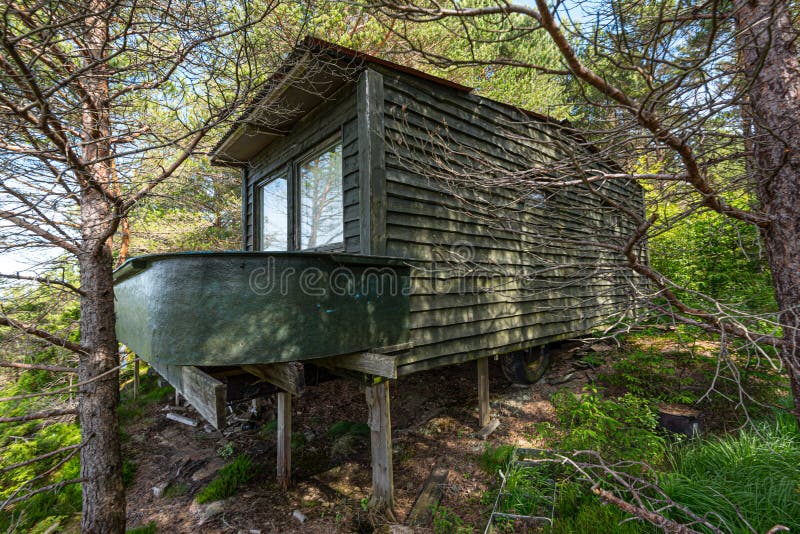 Abandoned Green Hut in the Forest Stock Photo - Image of rural, wall ...