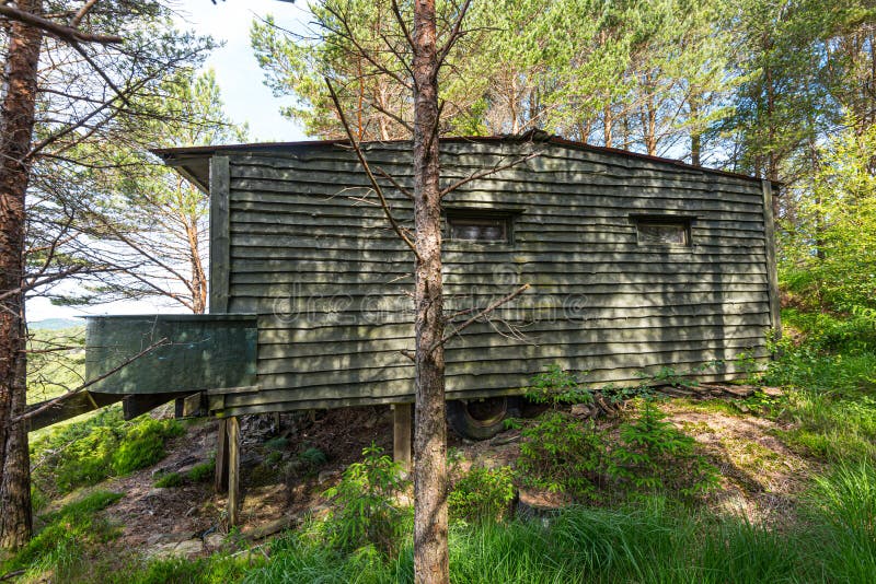 Abandoned Green Hut in the Forest Stock Photo - Image of cabin, forest ...