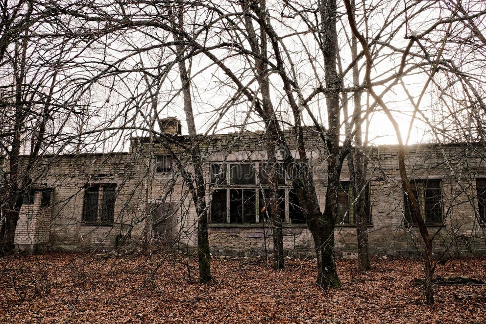 An Abandoned Grey Brick Structure Stands Amidst a Leafless Forest ...