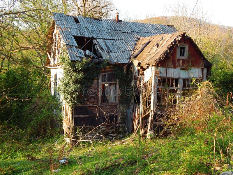 Abandoned and gutted house editorial stock photo. Image of tree - 175521308