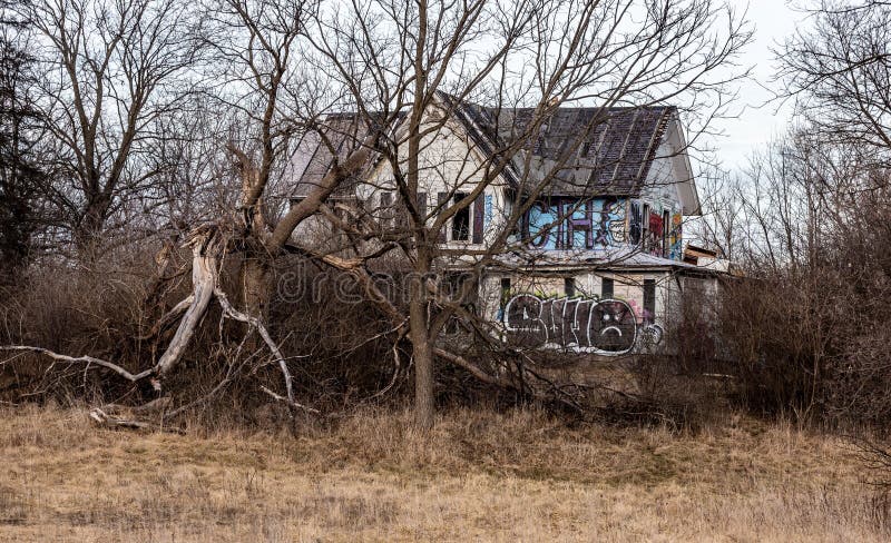 The Tree Trunk and Roof of an Abandoned Home are Full of Graffiti Stock ...